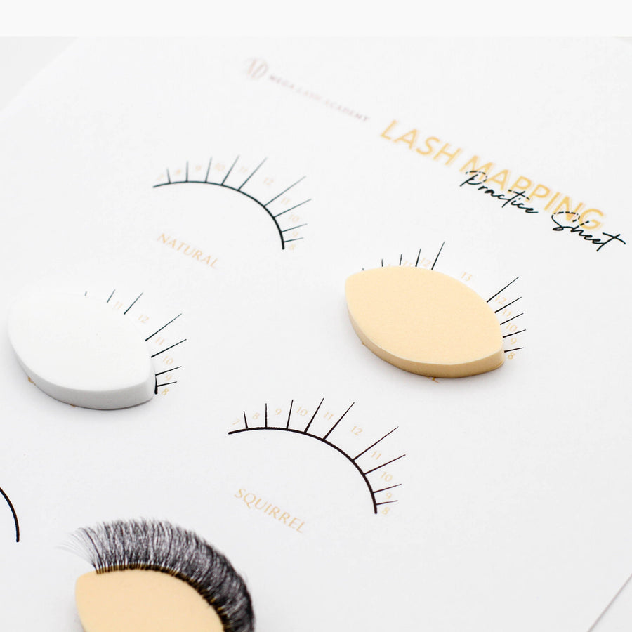 Practice Sponges for Eyelash Extensions | Lash Training and Practice